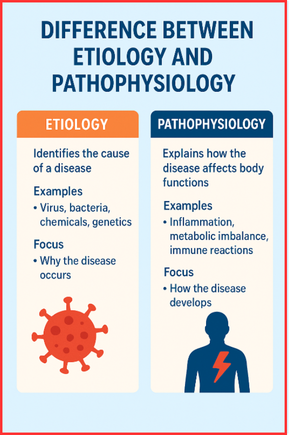 Difference Between Etiology and Pathophysiology: Definition